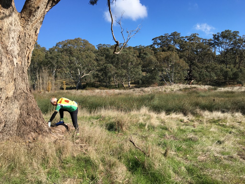 Mount Franklin Spring – Barry Golding